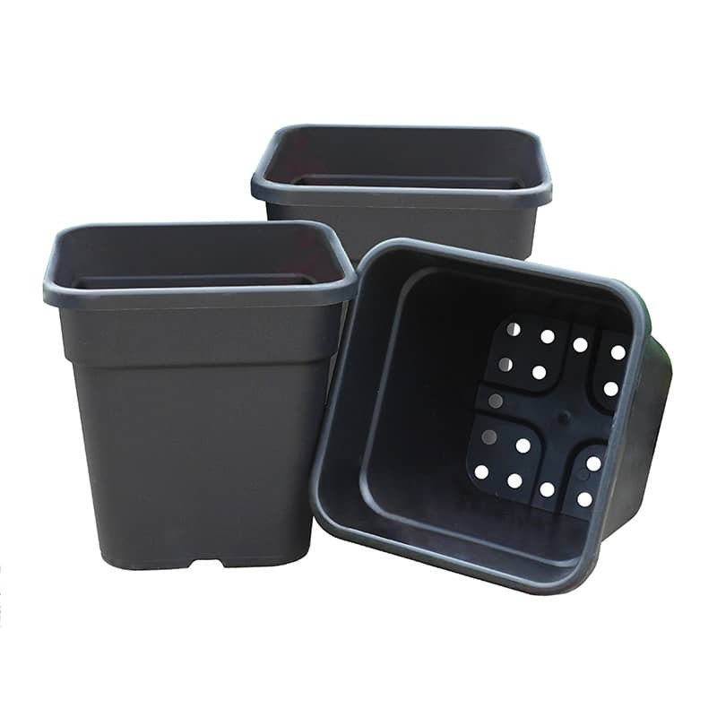 Square Black Tom Pots 25cm - Pack of 3